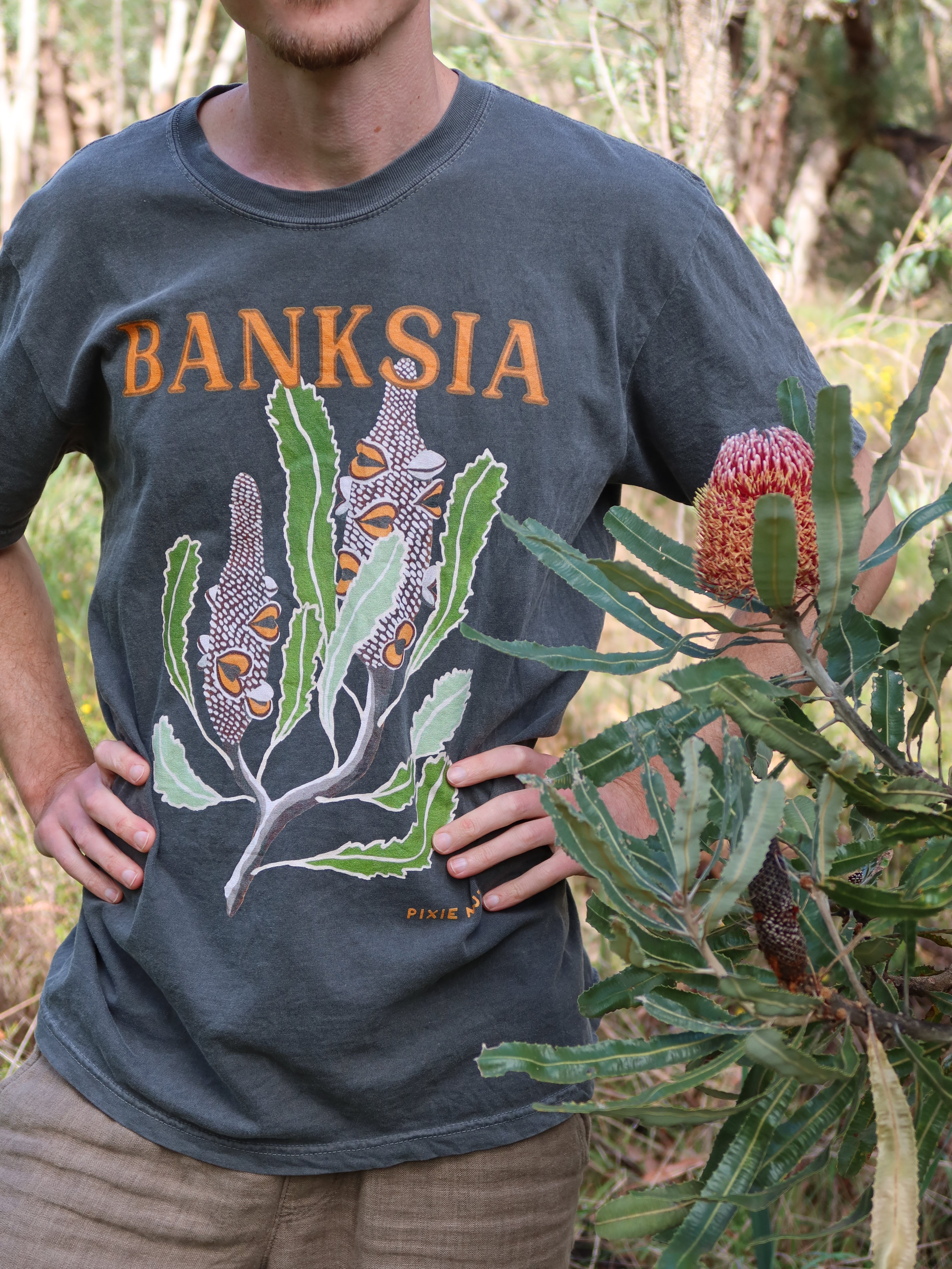 Banksia T-shirt – Pixie Nut & Co.